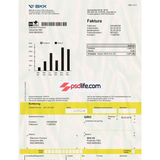 Norway BKK electricity utility bill template psd format, good for ...