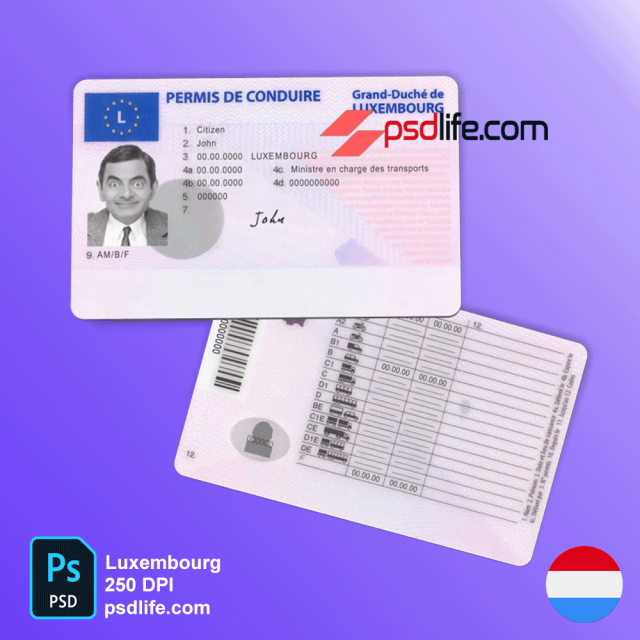 New York driving licence photoshop document template original professional